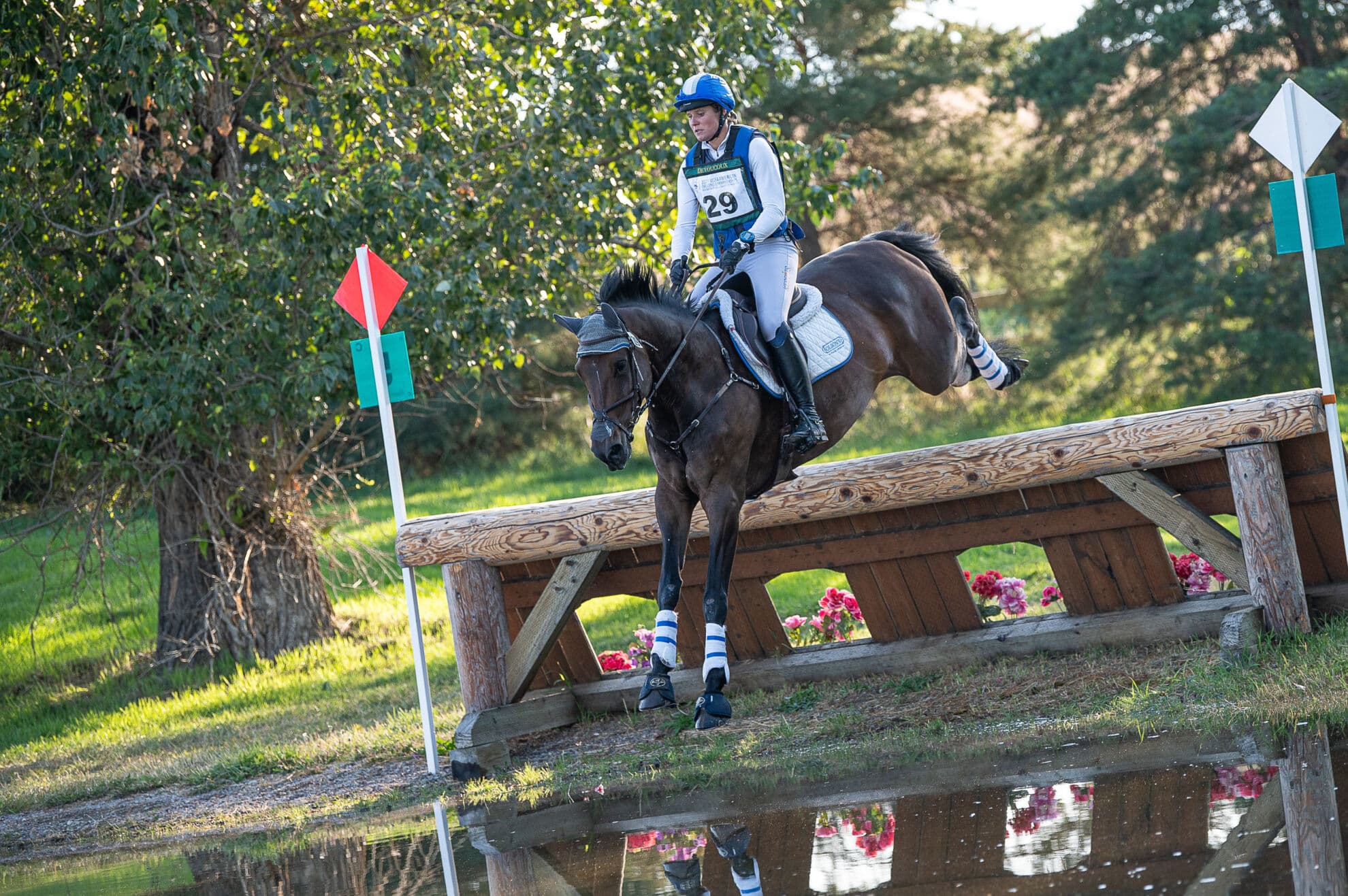 USEA | USEA, United States Eventing Association, Inc.